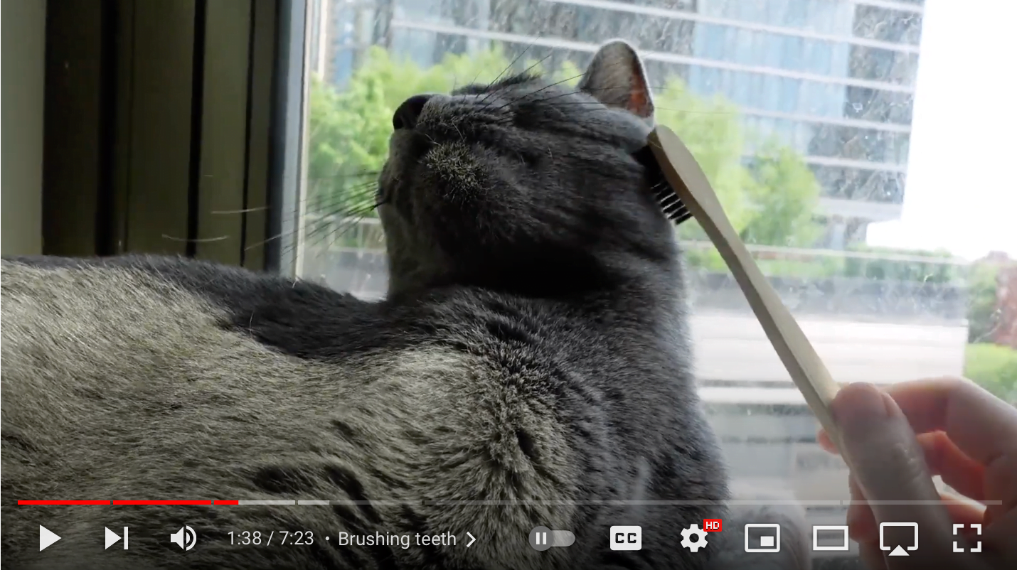 Russian Blues From Youtube - Via Emilia